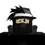 RobloxGo - evcat2016 Developer Profile