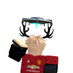 RobloxGo - Except Developer Profile