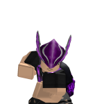 RobloxGo - N1ckyW1cky Developer Profile