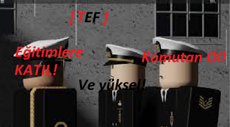 RobloxGo | [TEF] Turkish Armed Forces - Real Time Stats, Insights And ...