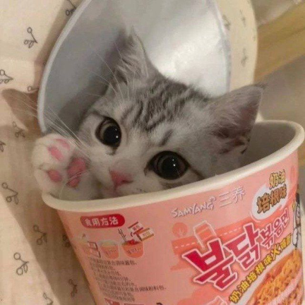 RobloxGo | Roblox Pool - Real Time Stats, Insights And Ranking