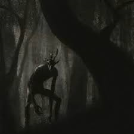 The SkinWalker Forest