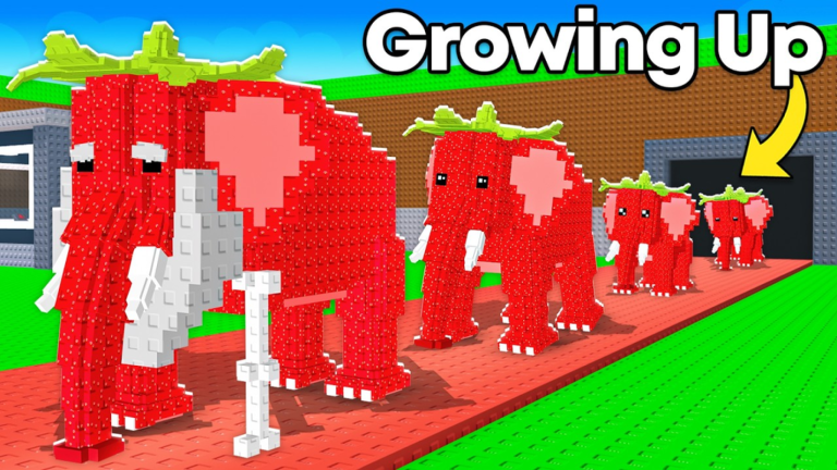 RobloxGo | Where can I find My Type Of Car Studios additional creations?