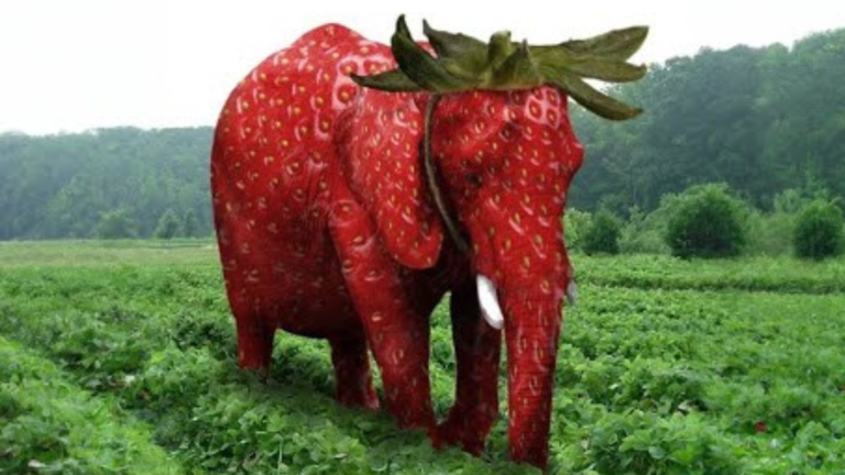 RobloxGo | Brainrot World! VS Brainrot Tower Full Comparison