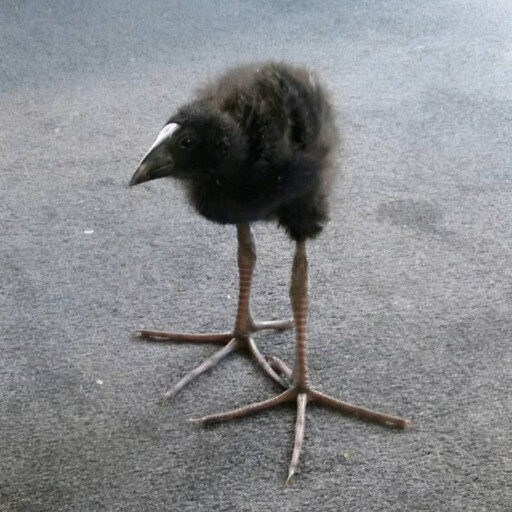 RobloxGo | The Battle Bricks: Forefront - Real Time Stats, Insights And ...