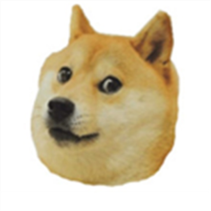 RobloxGo | -FREE ADMIN- DOGE OBBY *so addiction* *wow!* - Real Time ...