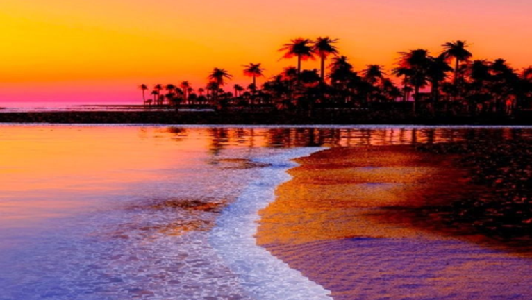 RobloxGo | Roblox Meadows *Horseback riding!!* - Real Time Stats ...