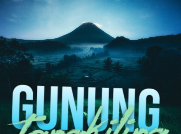 RobloxGo | DANDI TOWER - Real Time Stats, Insights And Ranking