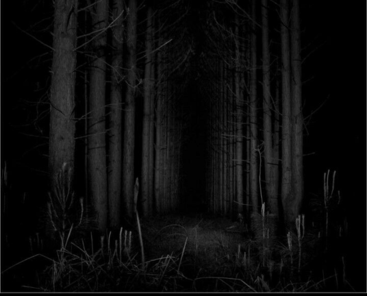 RobloxGo | Survive The Forest [ALPHA] - Real Time Stats, Insights And ...