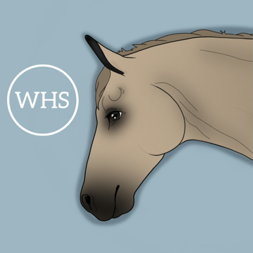 RobloxGo | LCS: Equest - Real Time Stats, Insights And Ranking