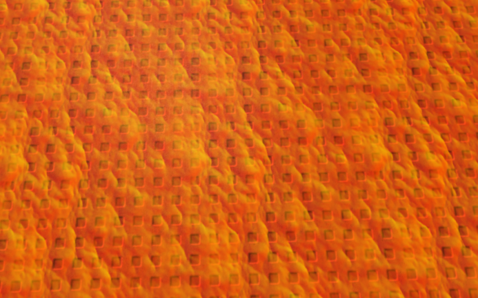 RobloxGo | Minecraft World Generator UNCOPYLOCKED - Real Time Stats ...