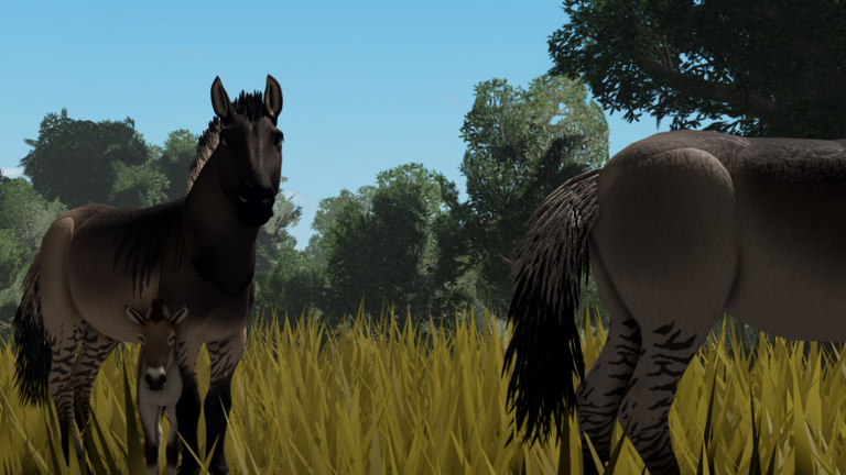 RobloxGo | Sonora Testing - Real Time Stats, Insights And Ranking