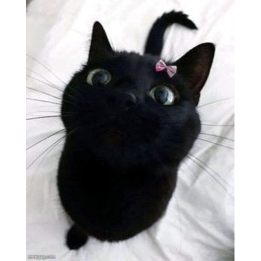 RobloxGo | UNDERTALE: [HARD CORE] Utmm: Madness 🎈 - Real Time Stats ...