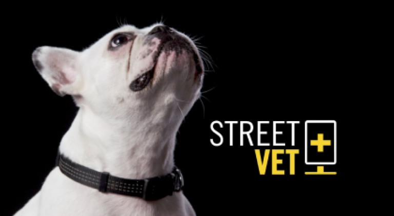 RobloxGo | Vet Simulator - Real Time Stats, Insights And Ranking