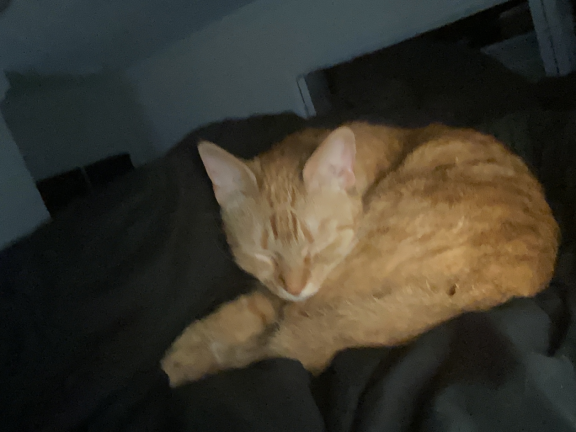 RobloxGo | RTS : Chasing [ Archived Tech-demo ] - Real Time Stats ...