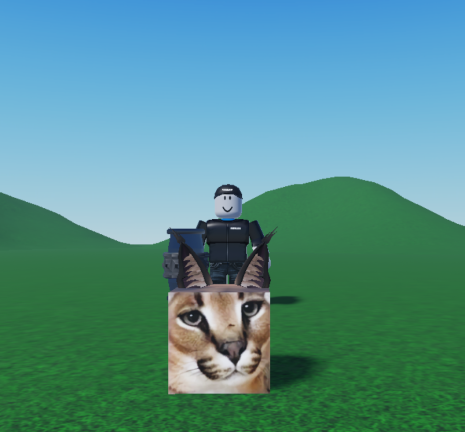 RobloxGo | raise a floppa vs roblox moderation - Real Time Stats ...