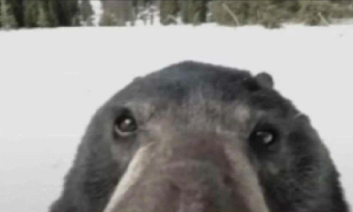 Galaxy: Rebirth v5.1.1